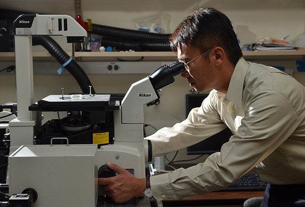 Shifting focus: research centers around patient outcomes – College of ...