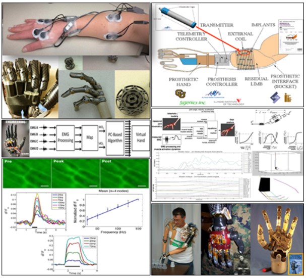 Biomechatronics Lab – College of Engineering, Design and Computing News